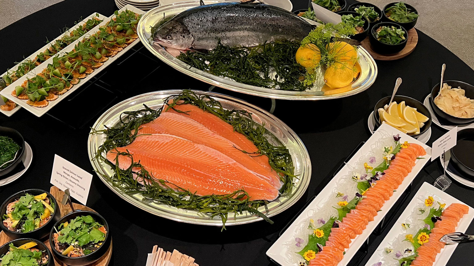 Home - salmonevolution.no