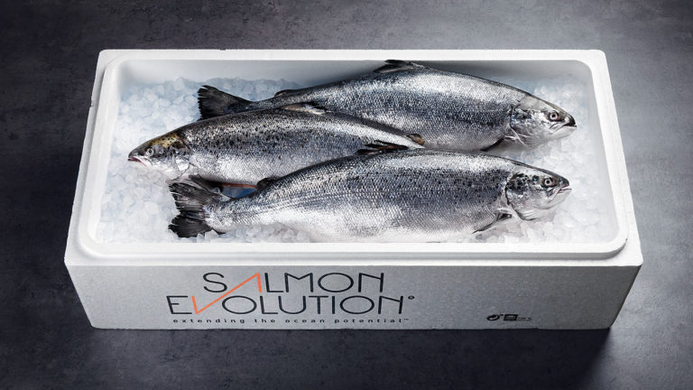 Home - salmonevolution.no