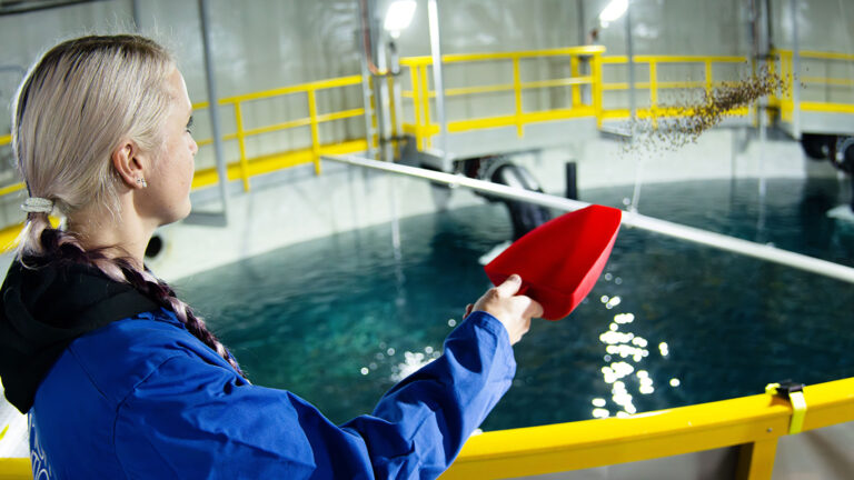 Home - salmonevolution.no